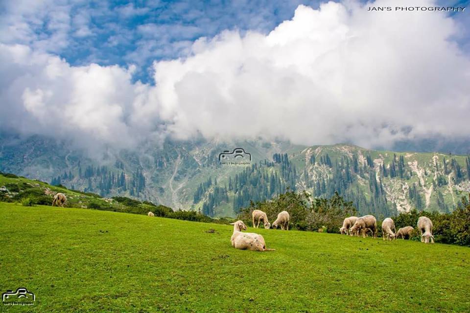 Gabeen Jabba background, updates, hotels,tour packages, transport ...