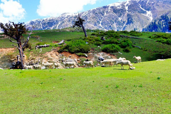 Gabeen Jabba background, updates, hotels,tour packages, transport ...