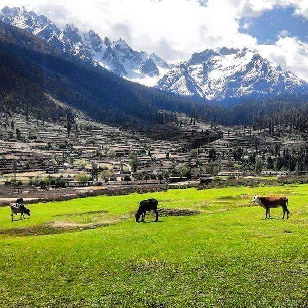 2 days 1 night islamabad to chukail banda standard adventure/hiking ...